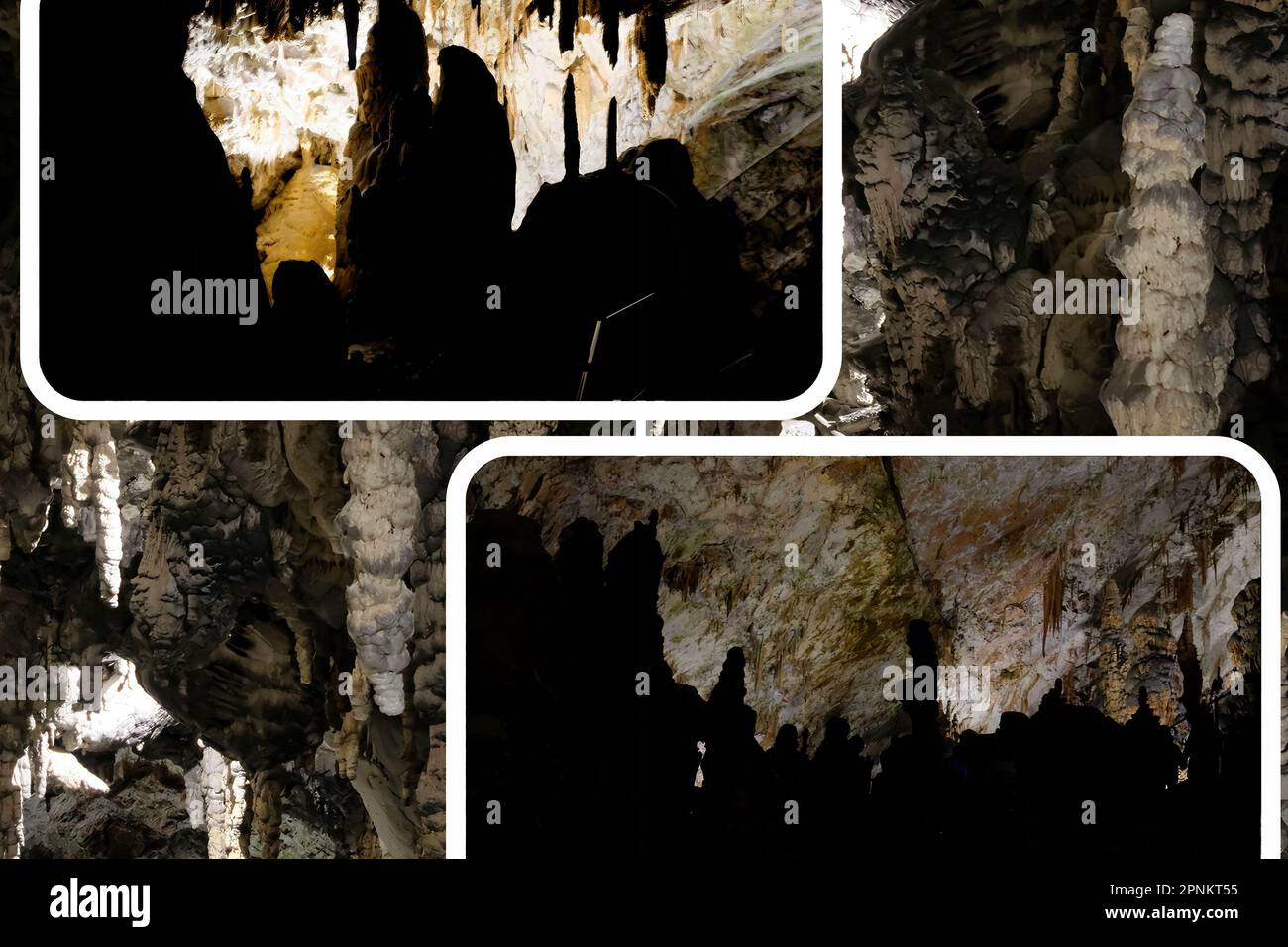 La grotte de Postojna est un complexe karstique en Slovénie, c'est la ...