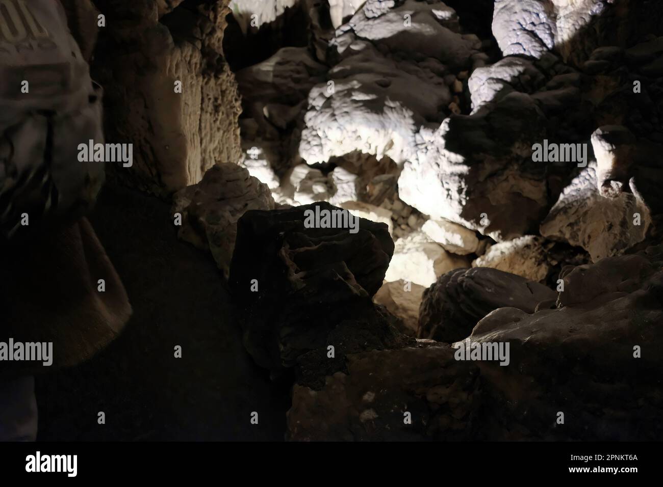 La grotte de Postojna est un complexe karstique en Slovénie, c'est la ...
