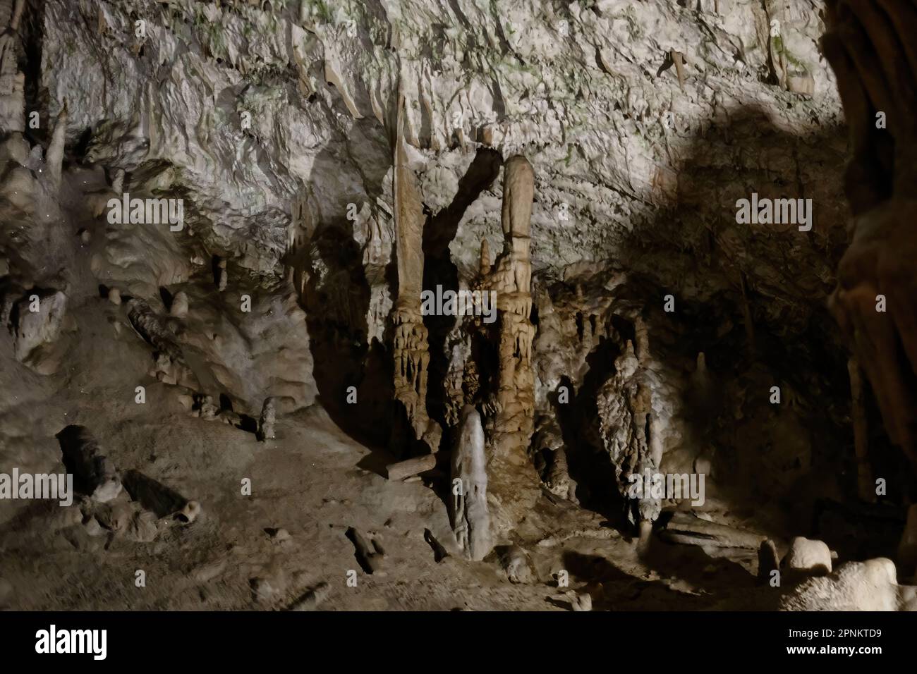 La grotte de Postojna est un complexe karstique en Slovénie, c'est la ...