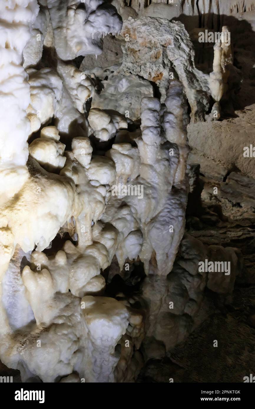 La grotte de Postojna est un complexe karstique en Slovénie, c'est la ...