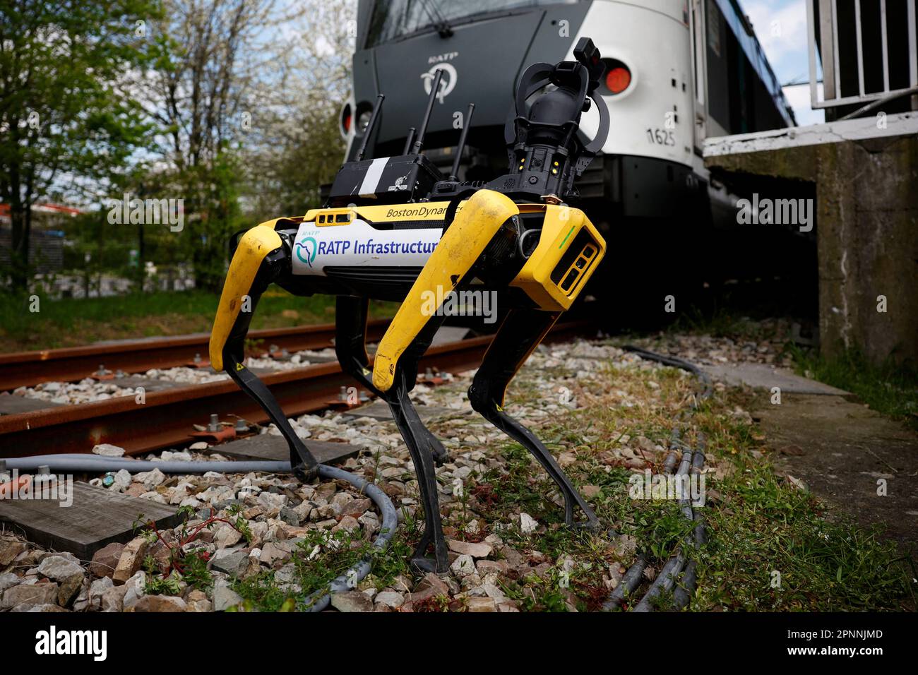 Le chien robot 'Spot' appelé Perceval, développé par Dynamics, basé à ...