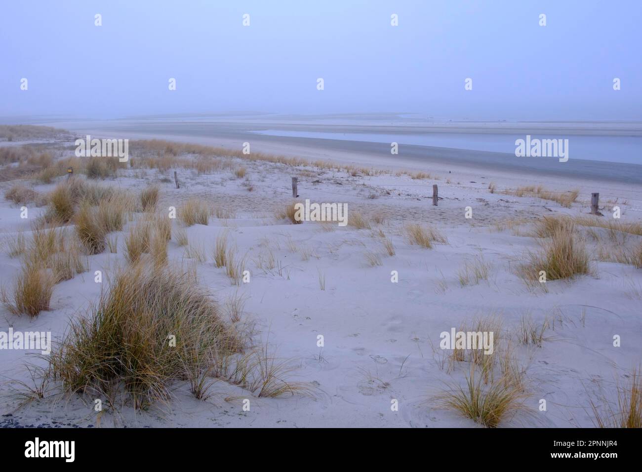 Parc national de la mer des Wadden avec brouillard, liste, Sylt, Île de ...