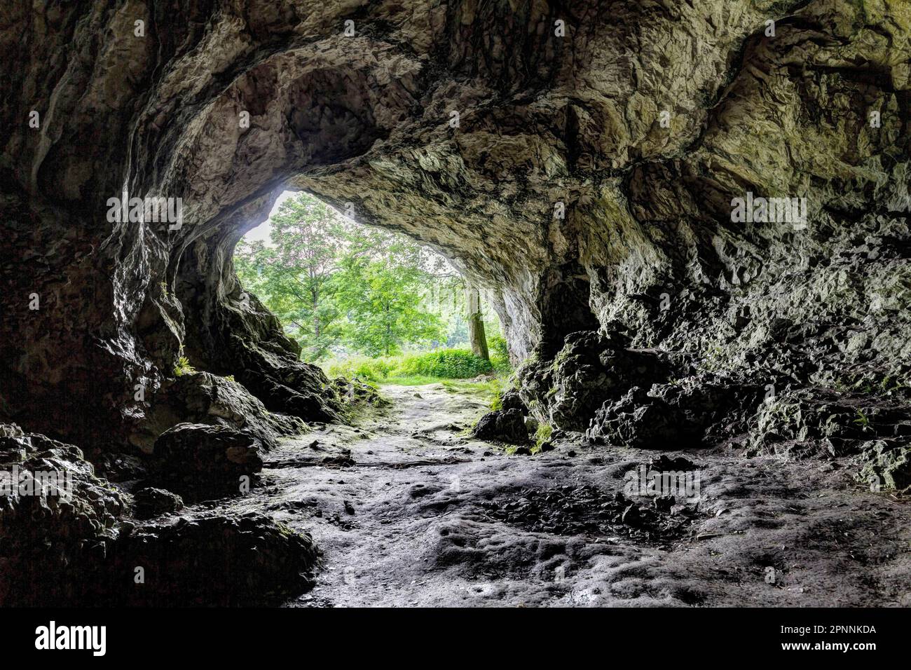 Grotte Hohlenstein-Stadel dans l'Alb souabe, grotte Eiszeit, site de l ...