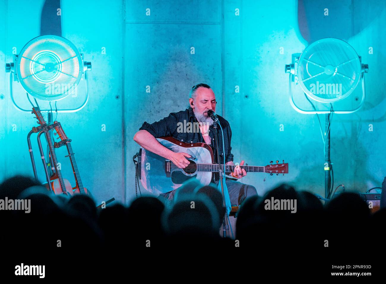 Fink milan Banque de photographies et d’images à haute résolution - Alamy