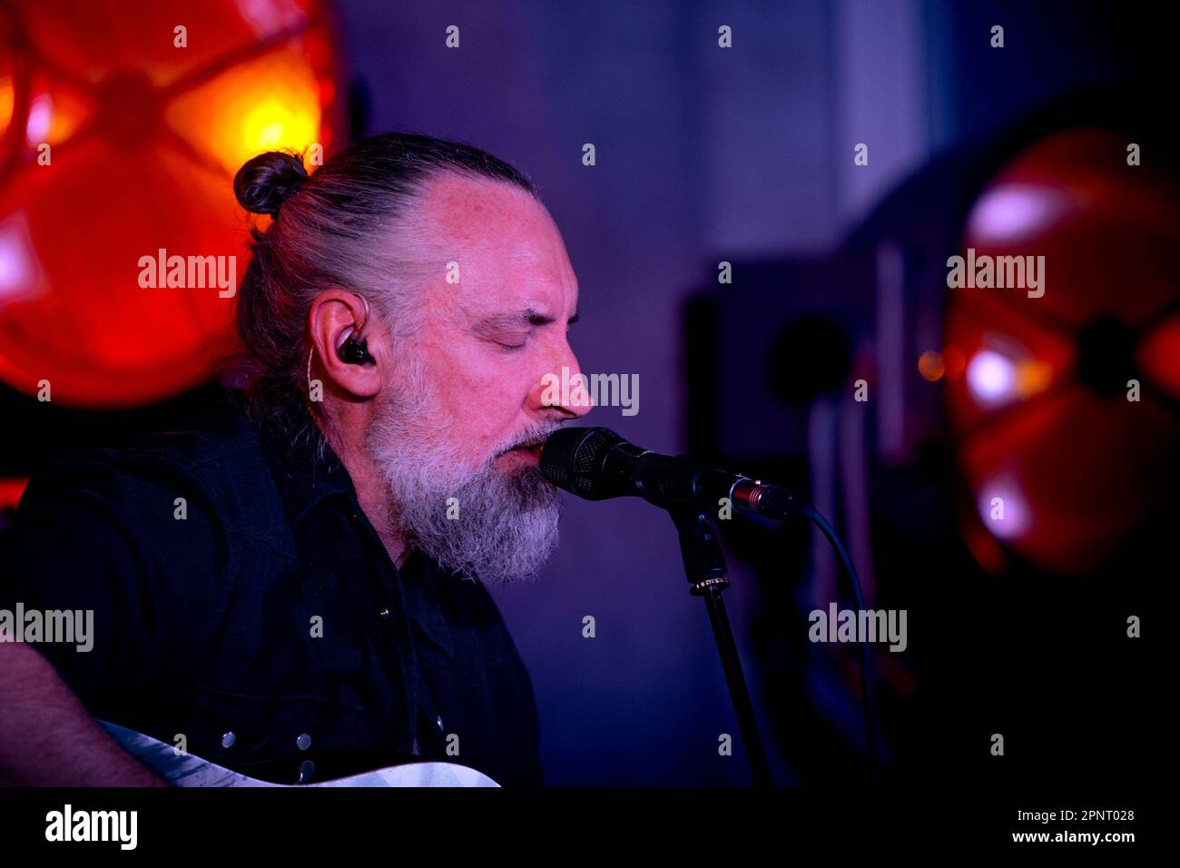 Fink milan Banque de photographies et d’images à haute résolution - Alamy