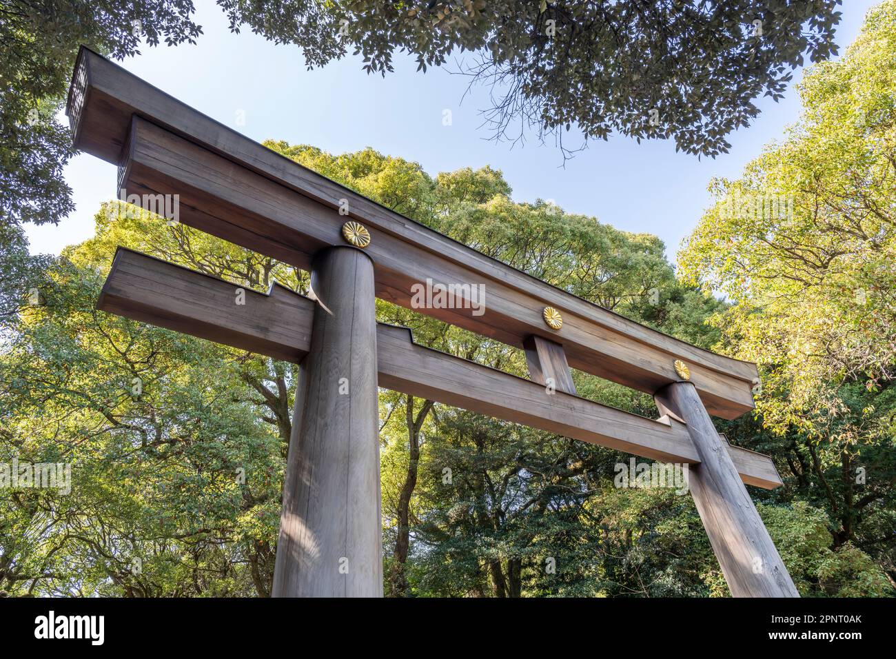 Porte torii en bois Banque de photographies et d’images à haute ...