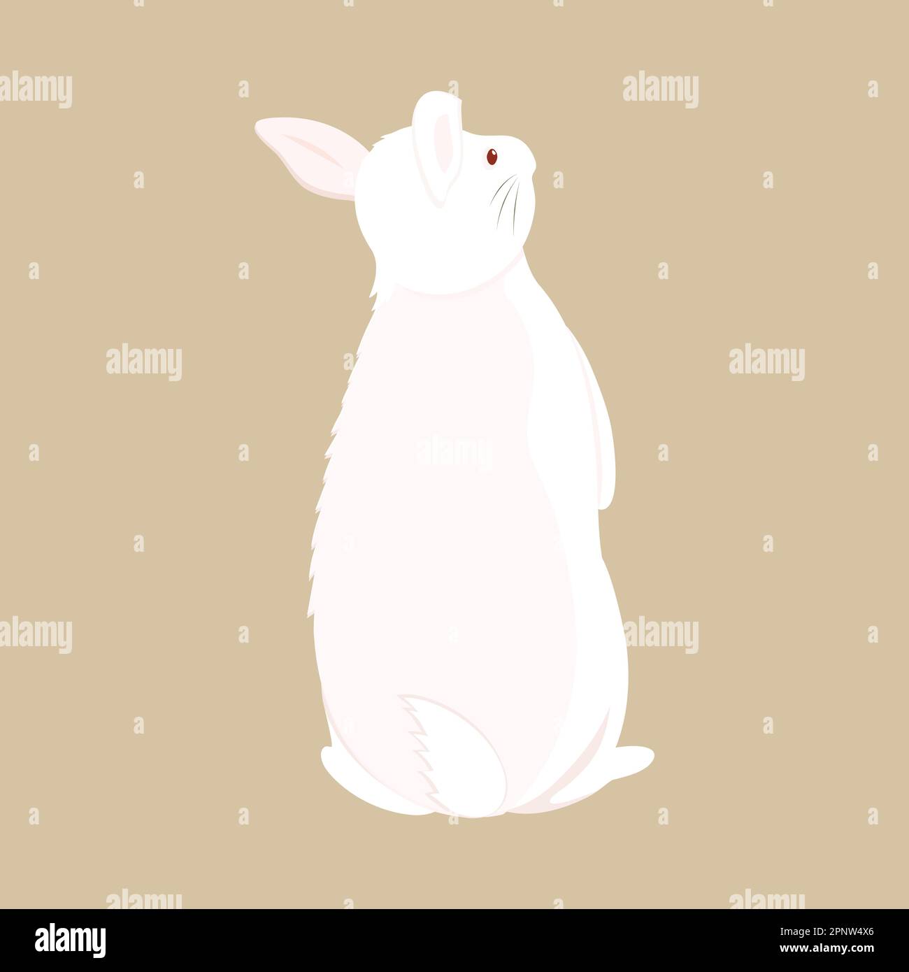 Rabbit rear view Banque d'images vectorielles - Alamy