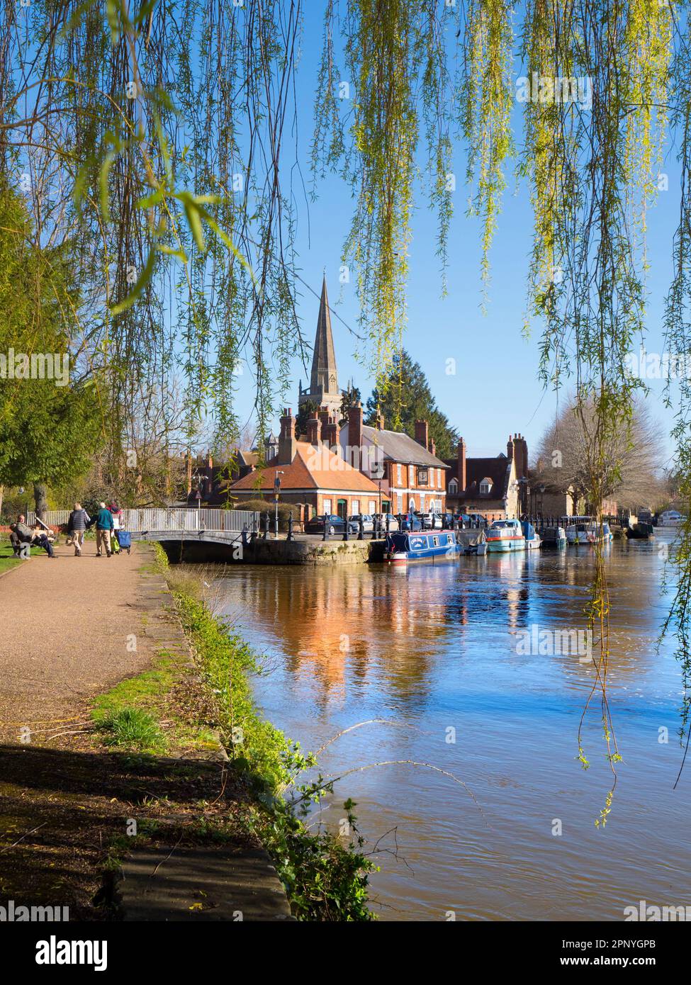 Vue depuis le dessous d'un saule de la Tamise à Abingdon lors d'une ...