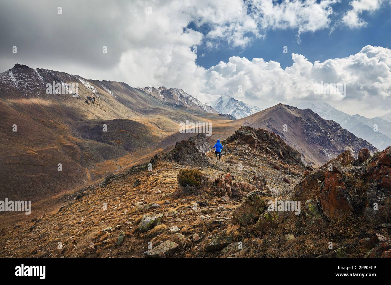 Man Hiker touriste en blouson bleu promenade sur le sentier à la ...