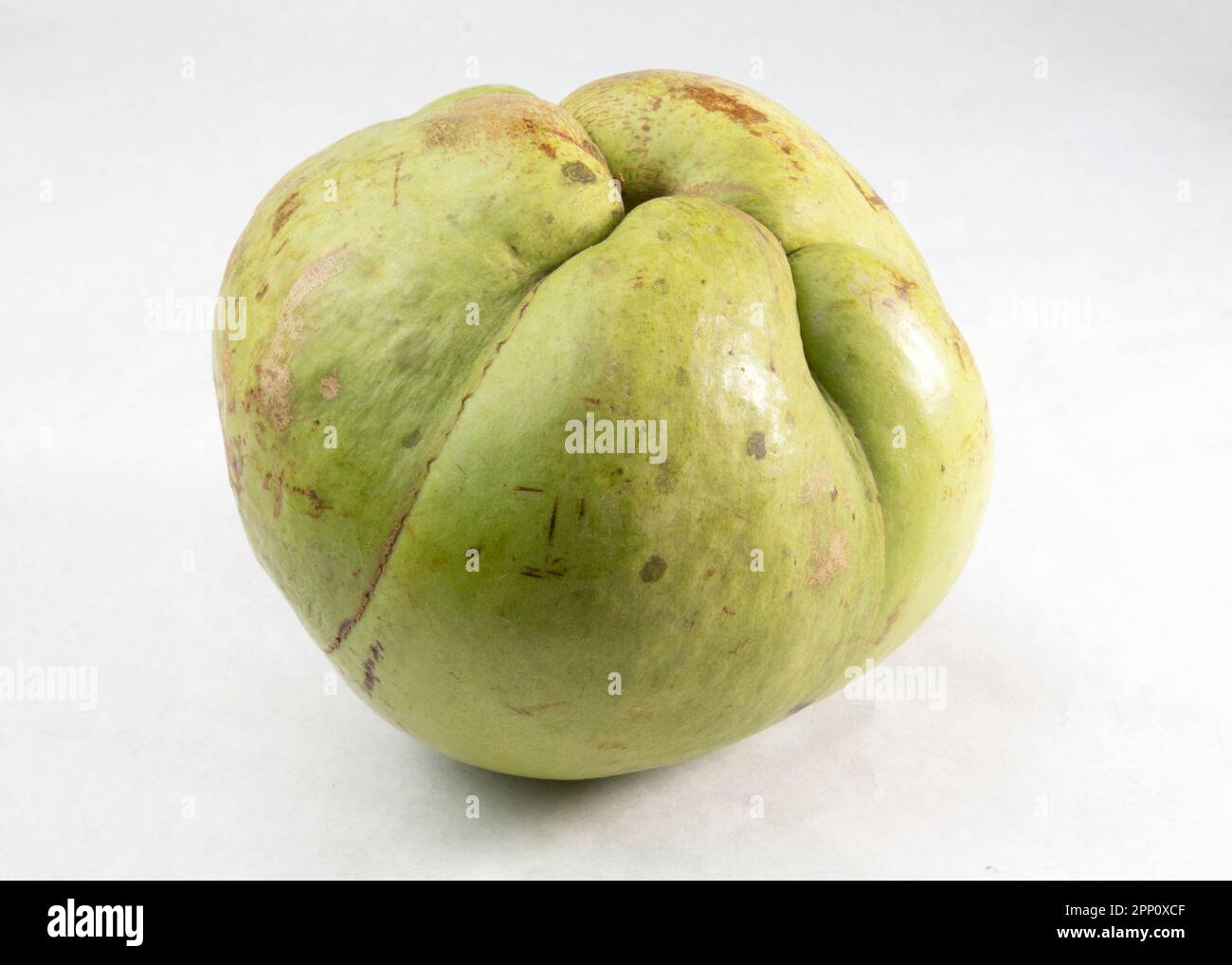 Fruit chalta Banque de photographies et d’images à haute résolution - Alamy