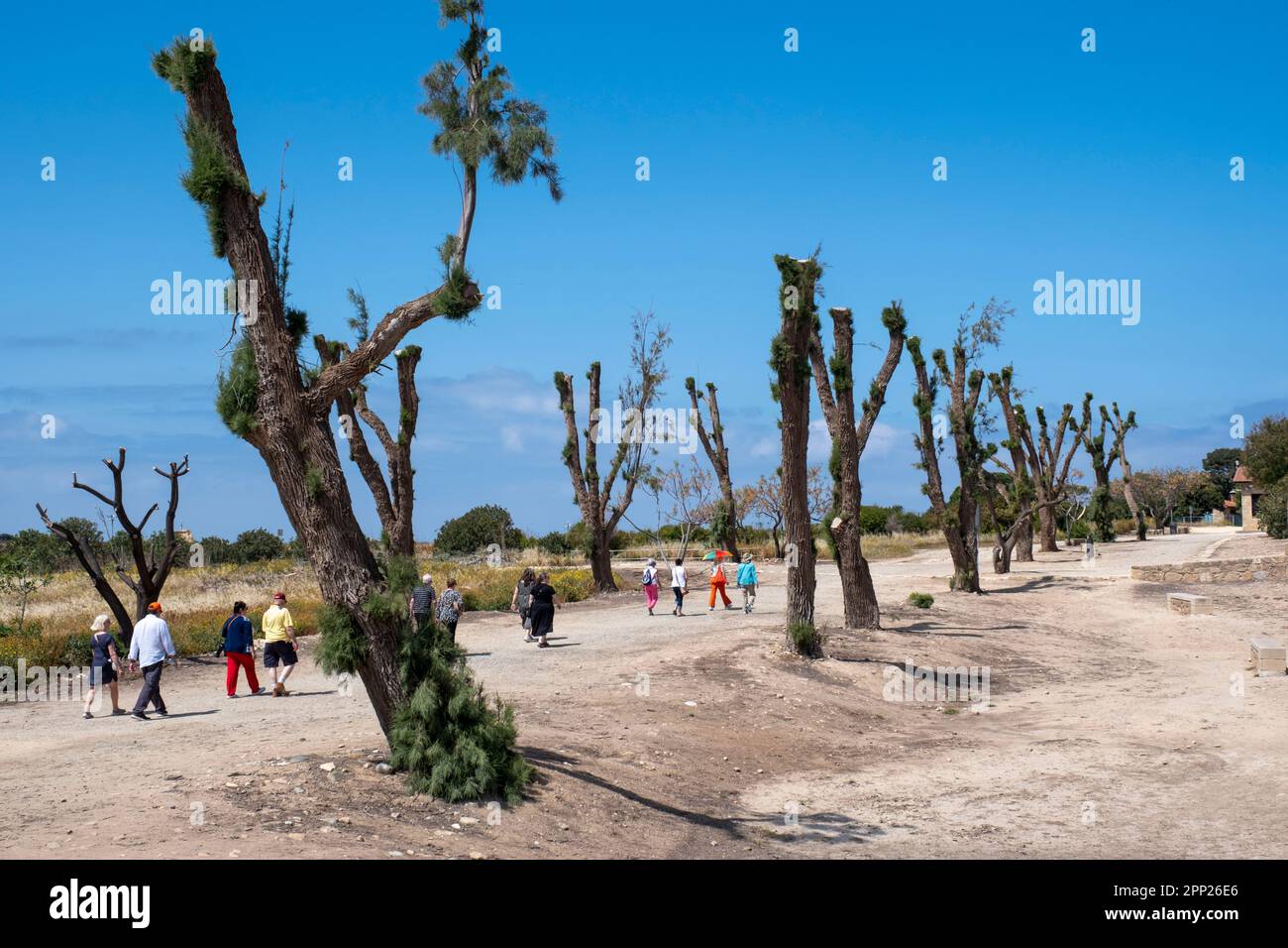 Guide touristique menant des groupes chypre Banque de photographies et ...