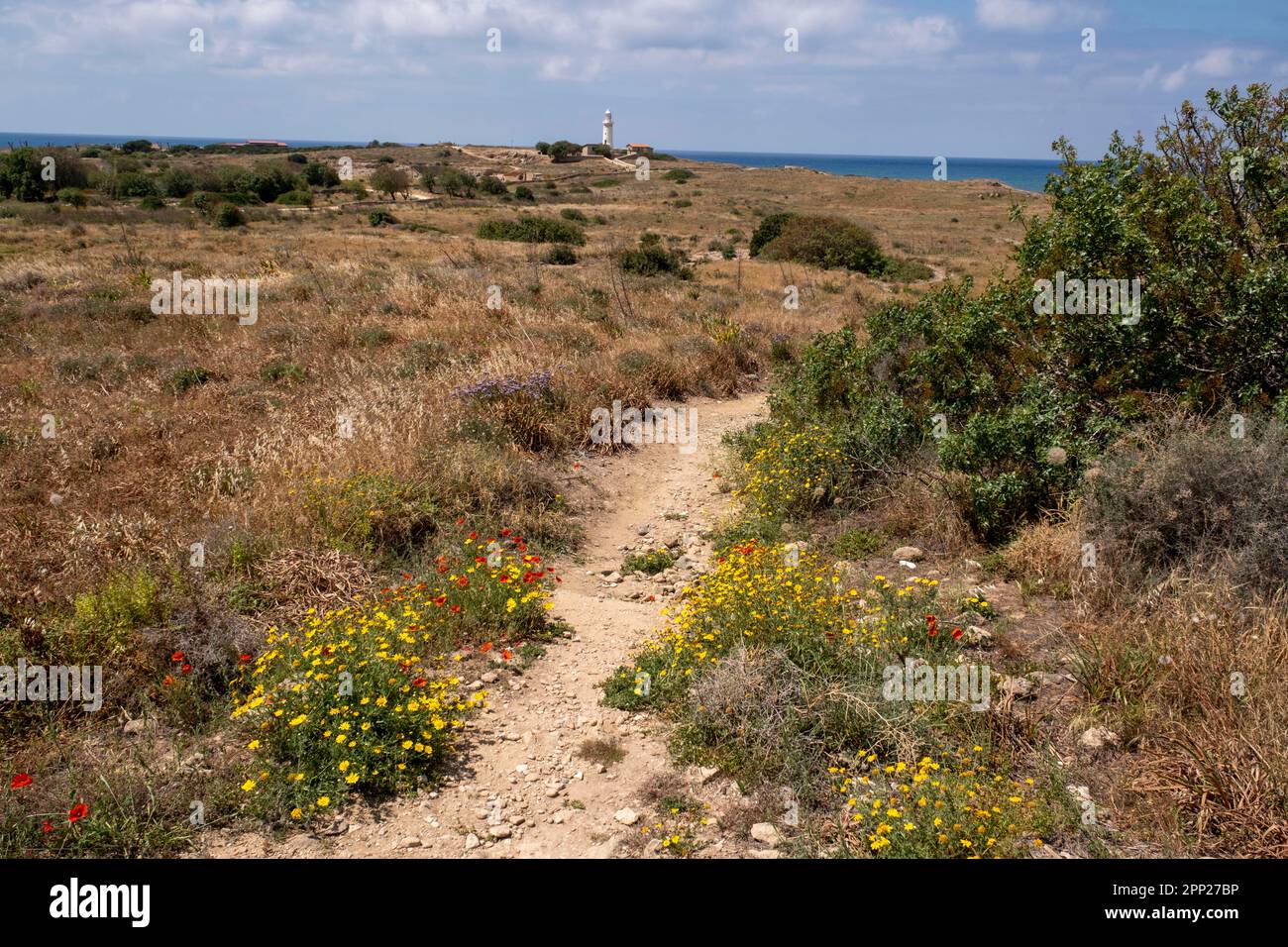 Parc archéologique et phare de Paphos, site classé au patrimoine ...