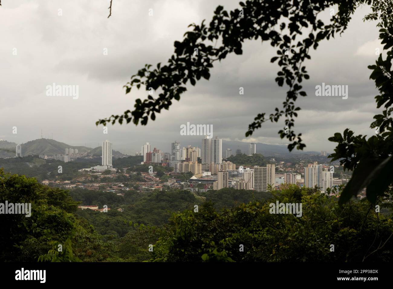 Une partie de la ville de Panama est vue depuis le parc naturel ...