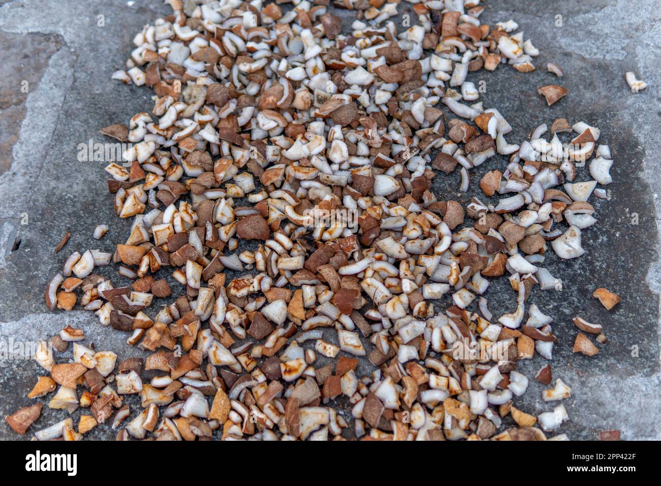 Le temple Chidambaram Thillai Natarajar de Tamil Nadu, en Inde, utilise ...