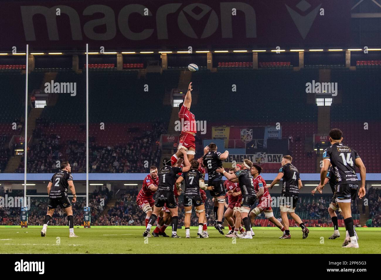 Carwyn tuipulotu Banque de photographies et d’images à haute résolution ...