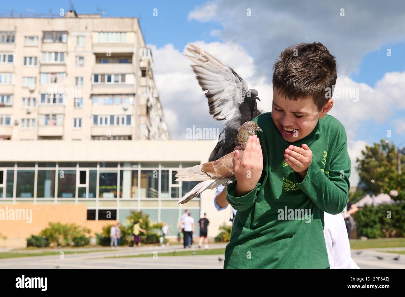 Enfant nourrissant des oiseaux Banque de photographies et d’images à ...