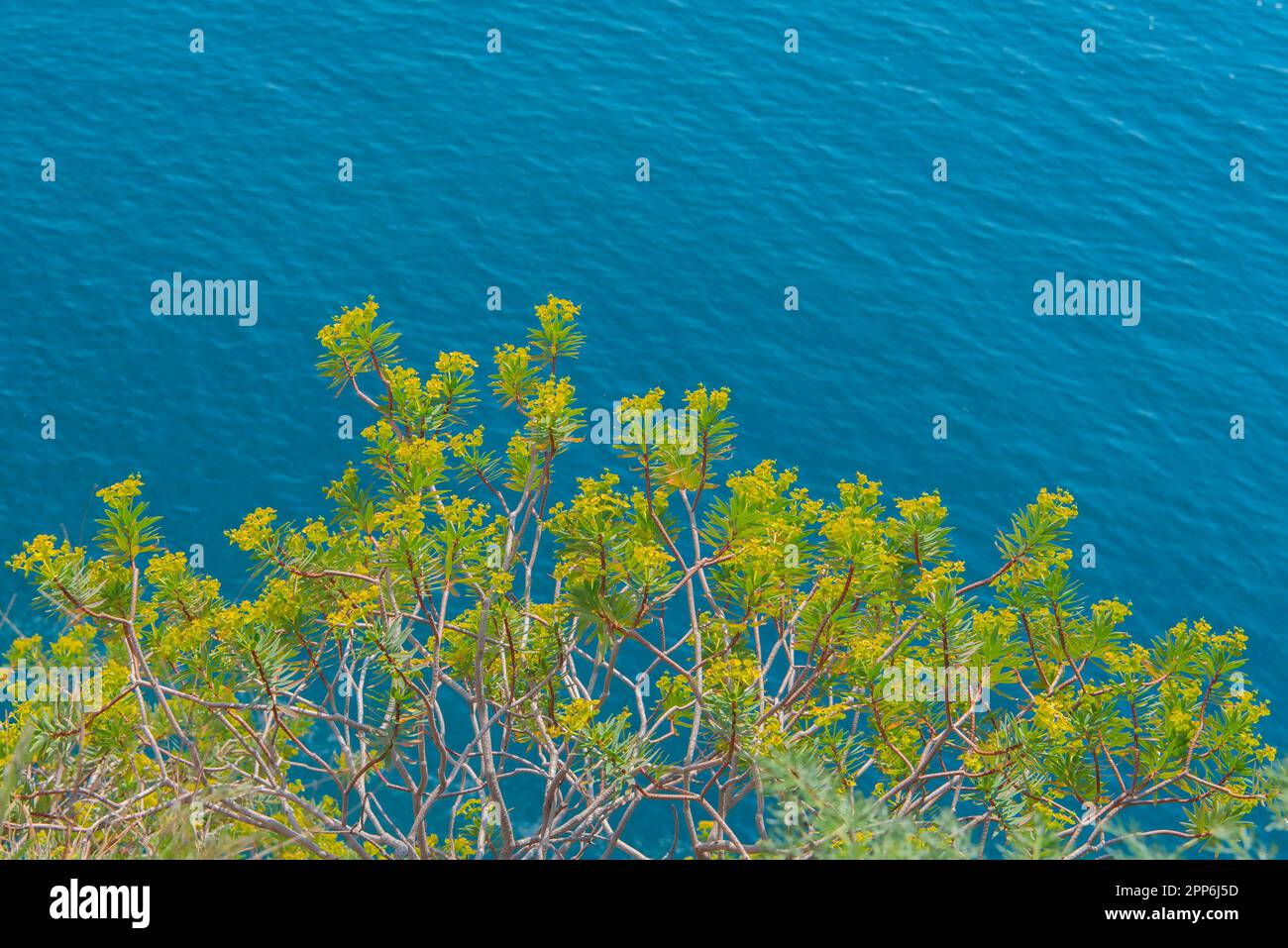 Fort mogren Banque de photographies et d’images à haute résolution - Alamy