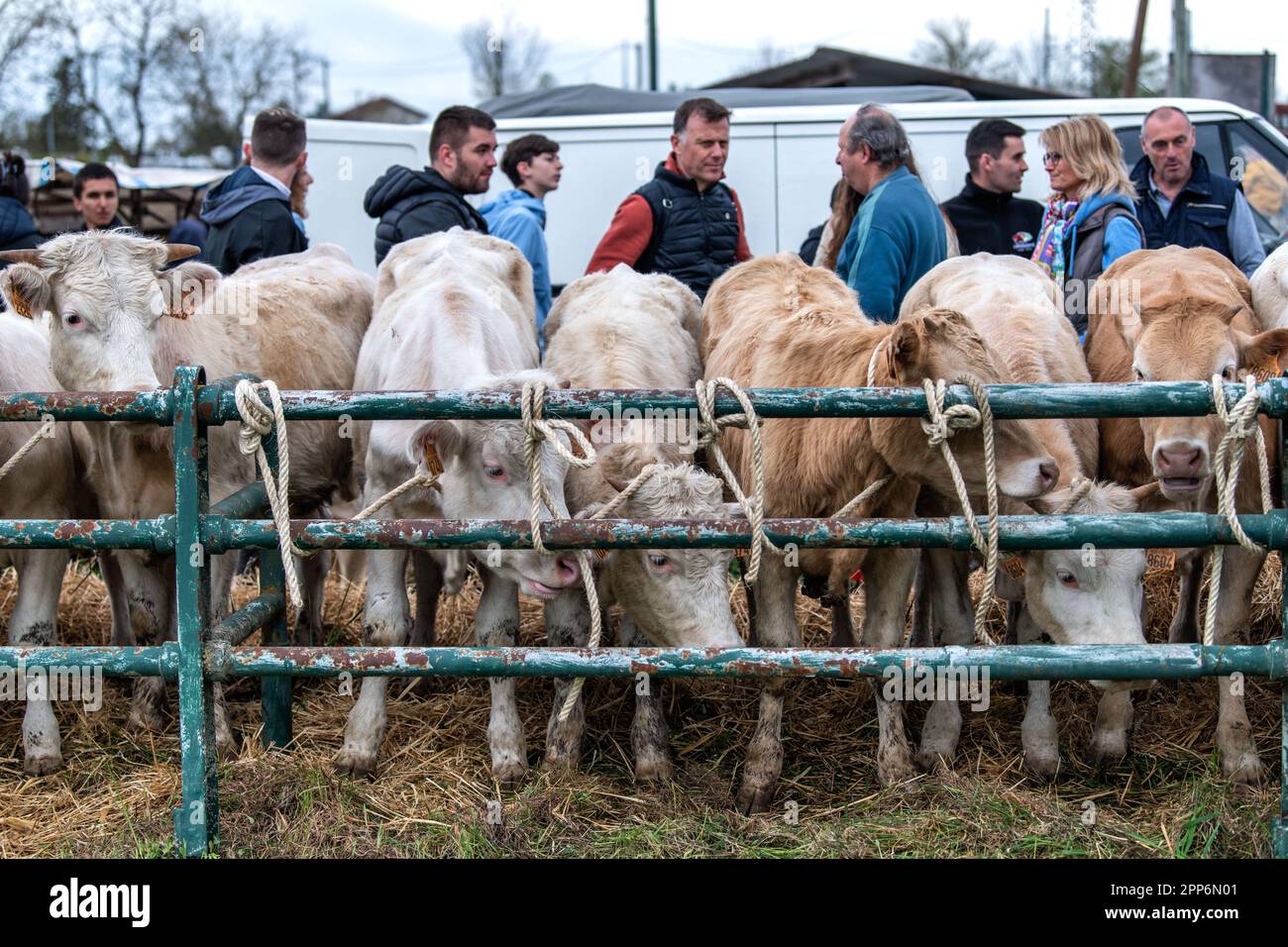 Foire de beaucroissant Banque de photographies et d’images à haute ...