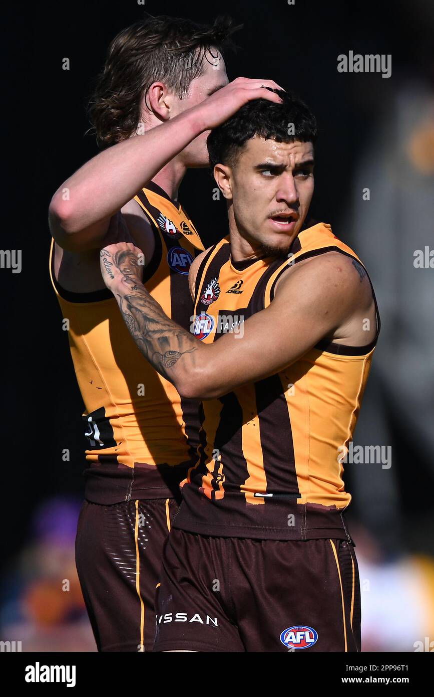 Tyler Brockman de Hawthorn (à droite) célèbre avec des copains d'équipe ...