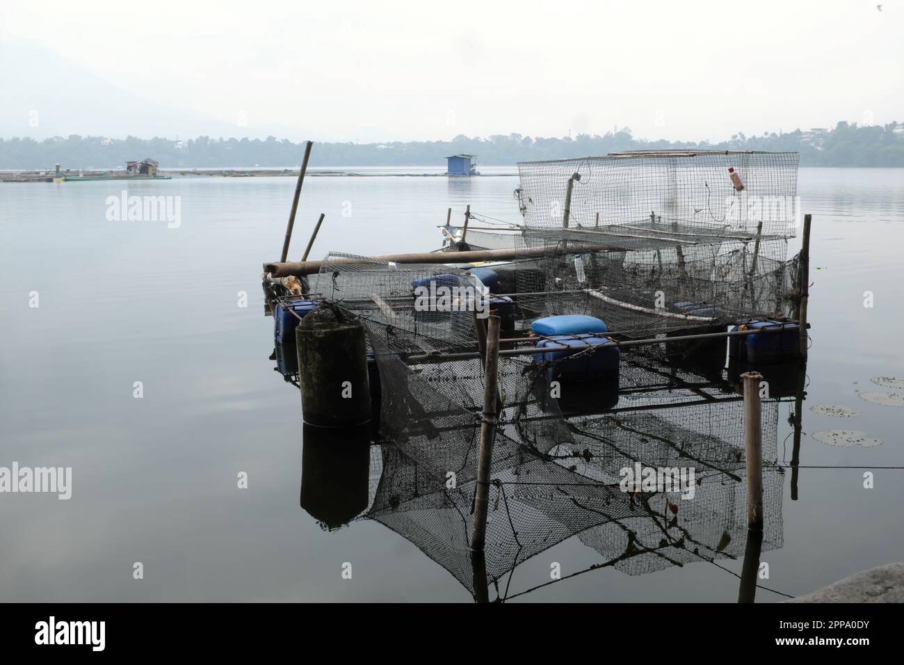 Aquarium flottant ou cage à poissons dans le lac Sampaloc à San Pablo ...