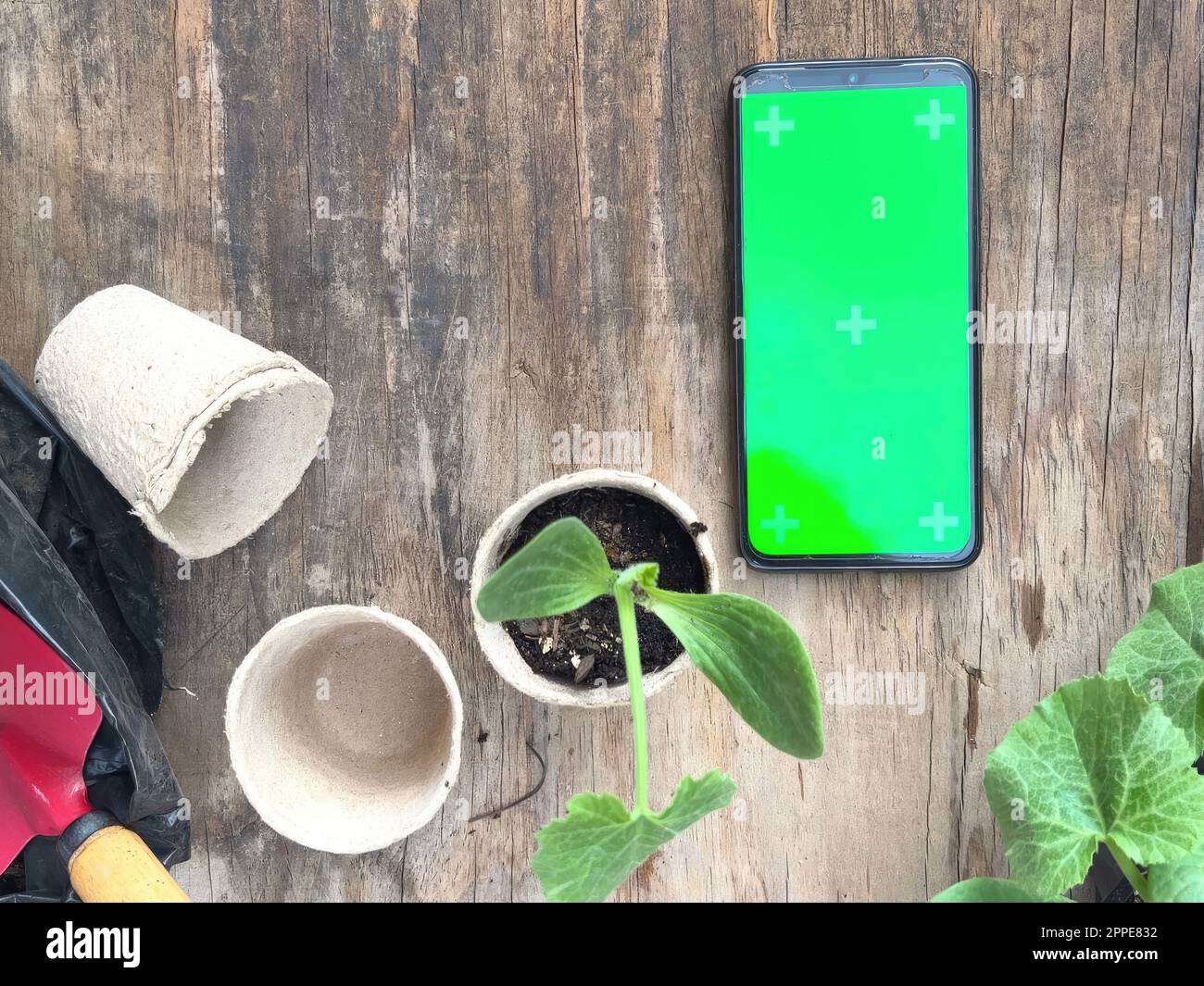 Comment faire pousser de la nourriture à la maison sur la terrasse ...