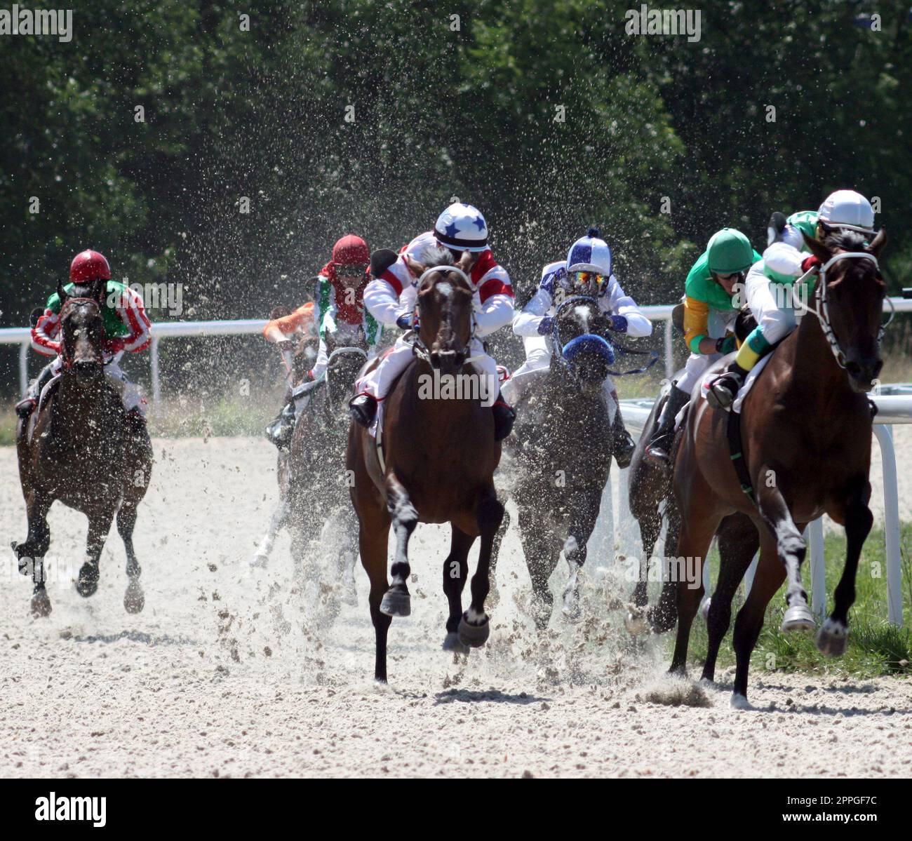 Courses de chevaux de race Banque de photographies et d’images à haute ...