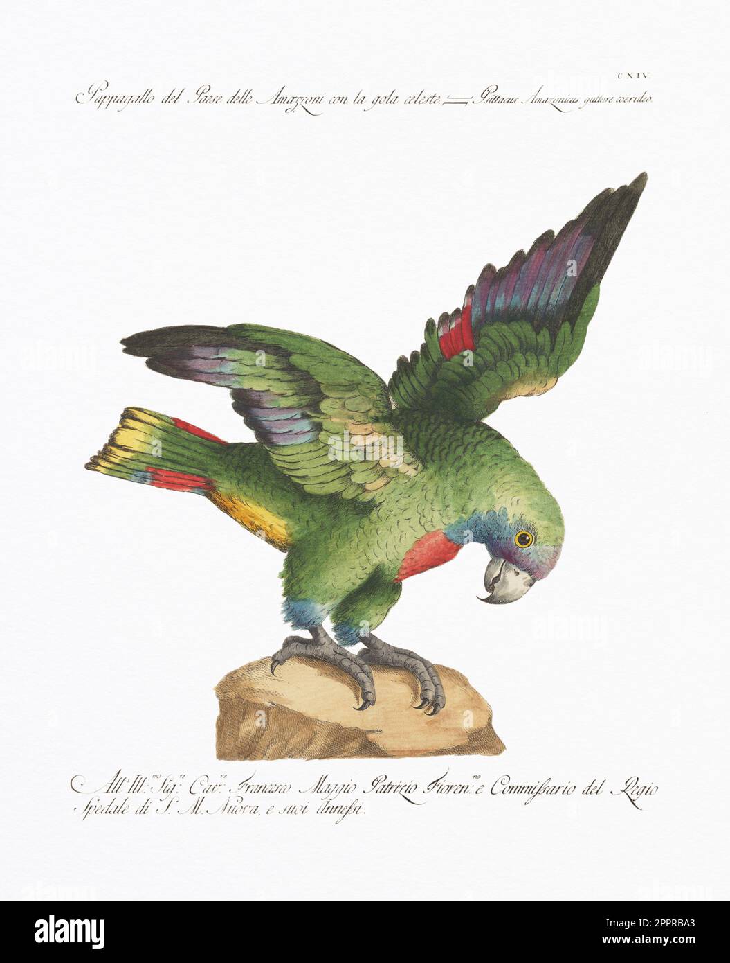 Peinture italienne du 18ème siècle Banque d'images détourées - Alamy