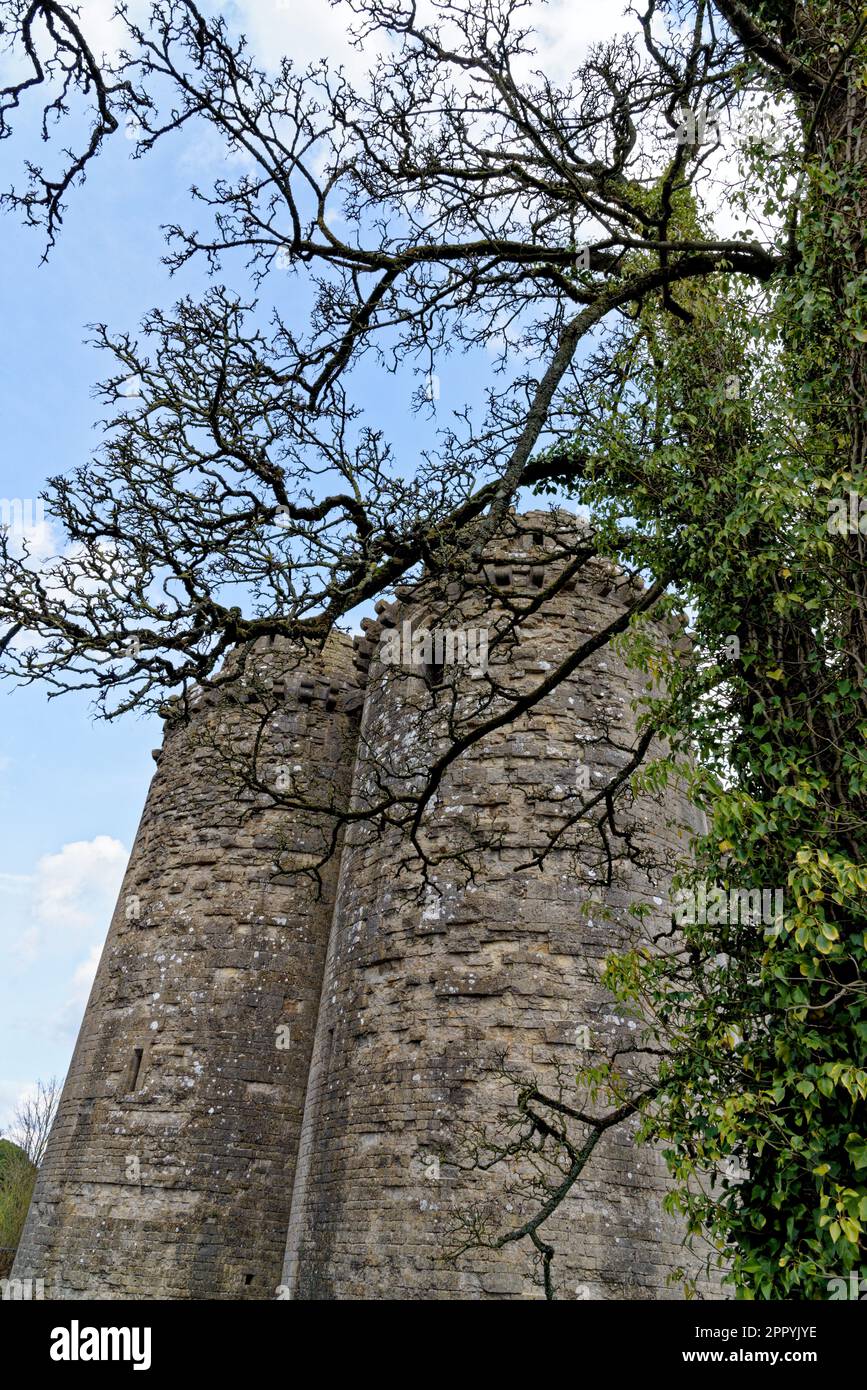 Château de Nunney et douve dans le village de Nunney. Construit en ...