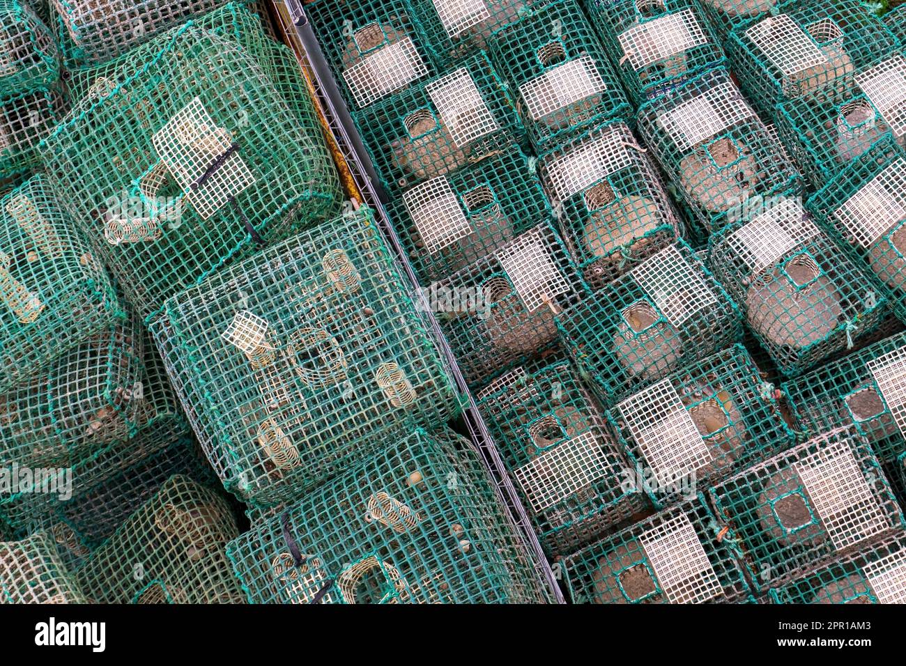 Panier de crabe plastique Banque de photographies et d’images à haute ...