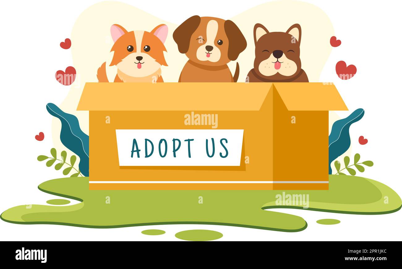 Adopter un animal d'un abri d'animaux sous forme de chats ou de chiens ...