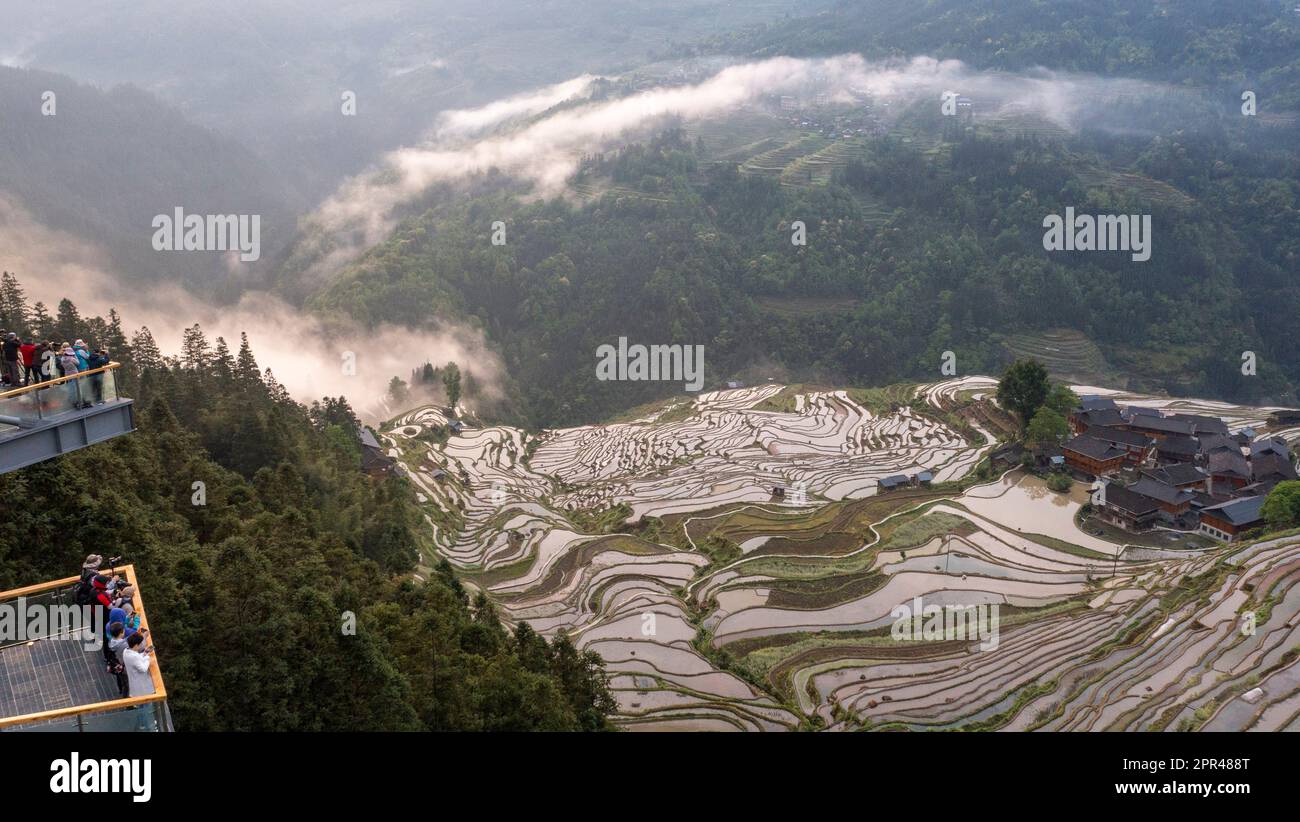 CONGJIANG, CHINE - 26 AVRIL 2023 - les touristes prennent des photos ...