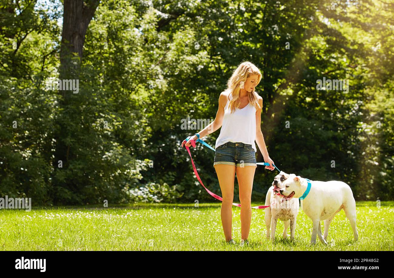 Les vrais compagnons. une jeune femme avec ses deux chiens au parc ...