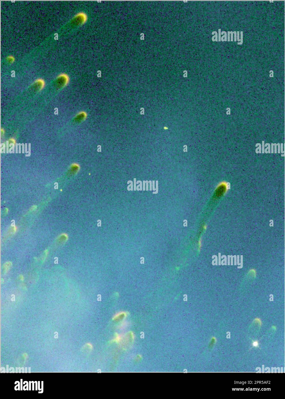 Ces objets gigantesques en forme de tadpole sont probablement le ...