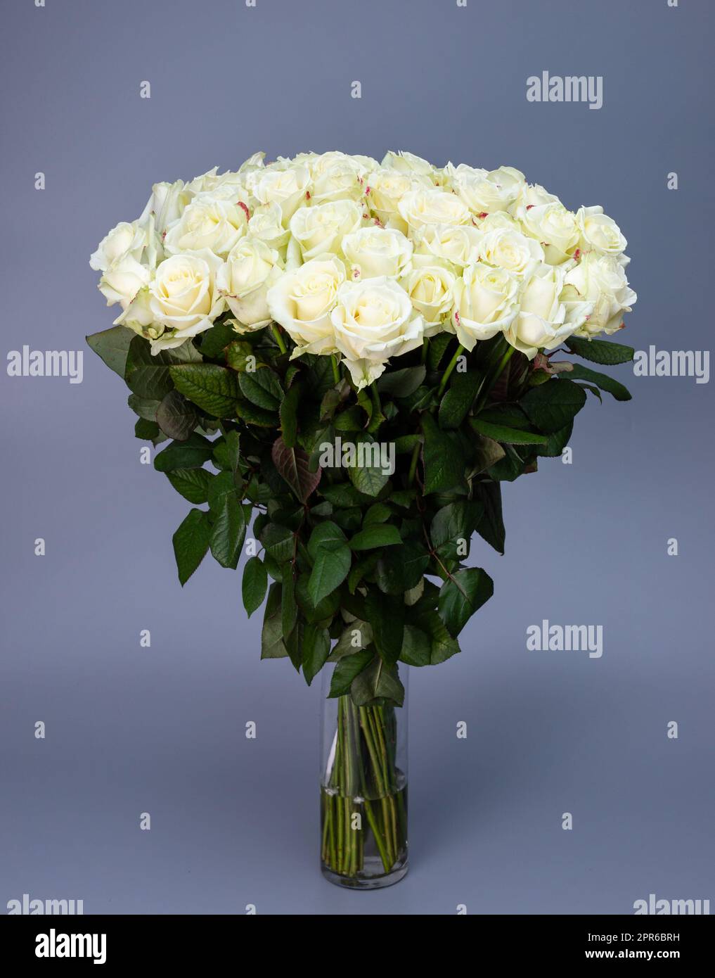 Grand bouquet de roses blanches de luxe se dresse dans un vase en verre ...