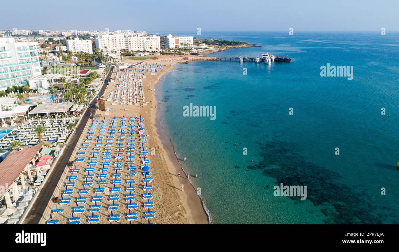 Vue aérienne des oiseaux sur la plage de Sunrise à l'arbre de la Fig à ...