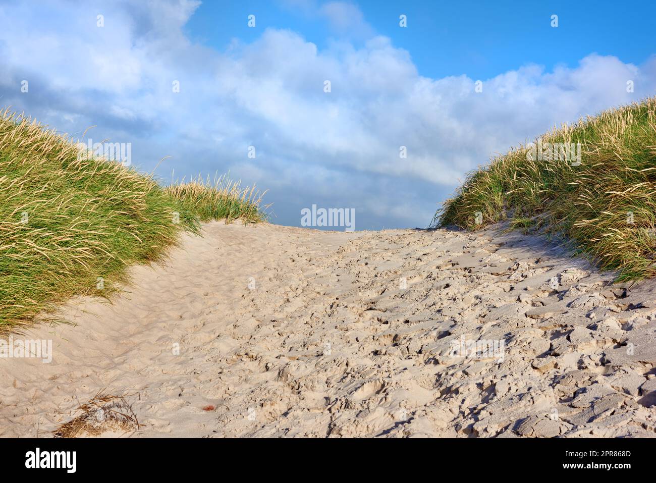 Chemin sur les dunes de sable Banque de photographies et d’images à ...