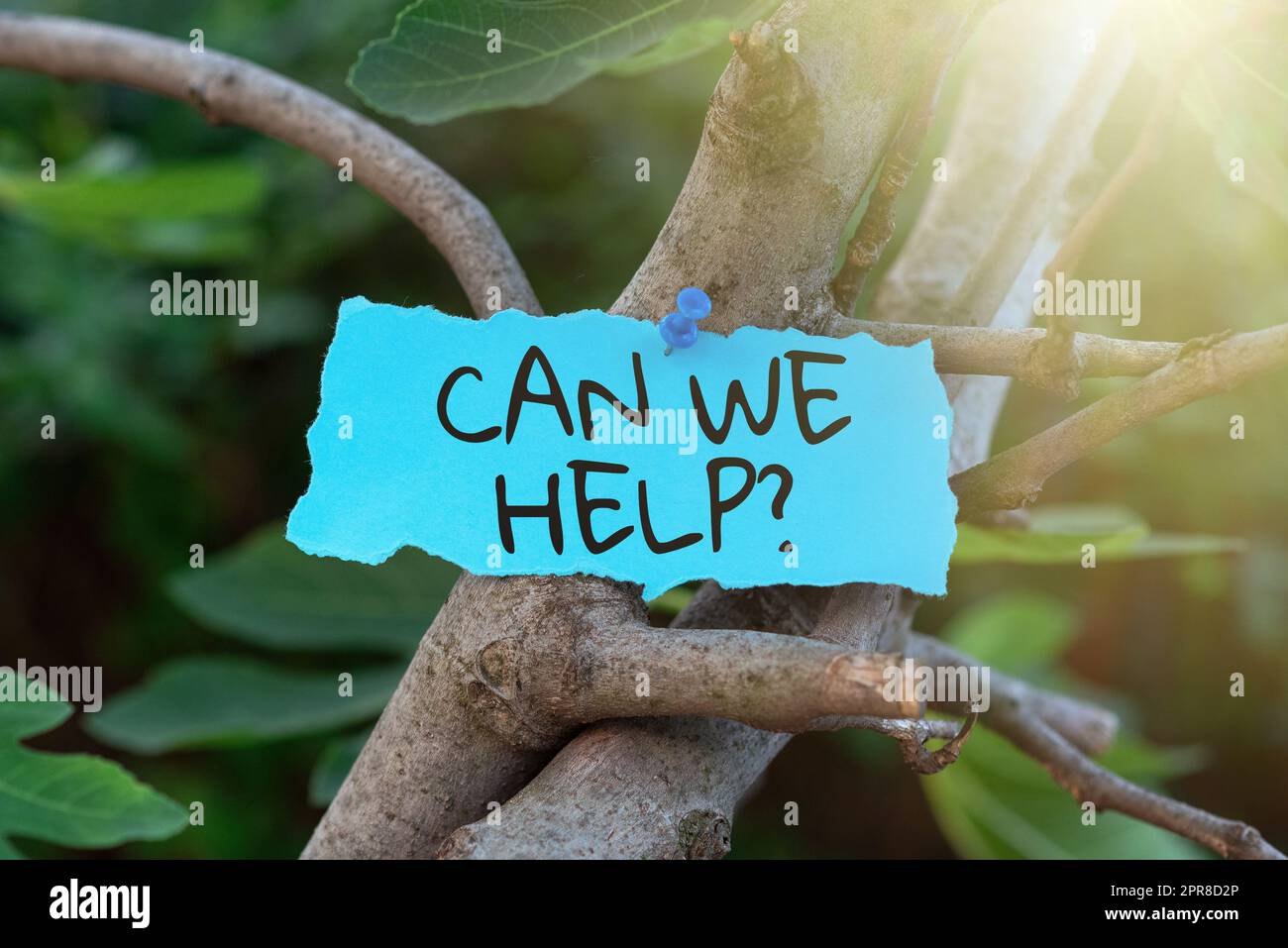 Tree branch support Banque de photographies et d’images à haute ...