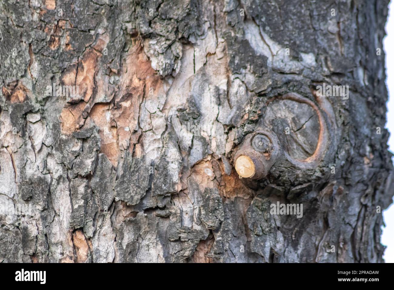 Vieilles structures en bois Banque de photographies et d’images à haute ...