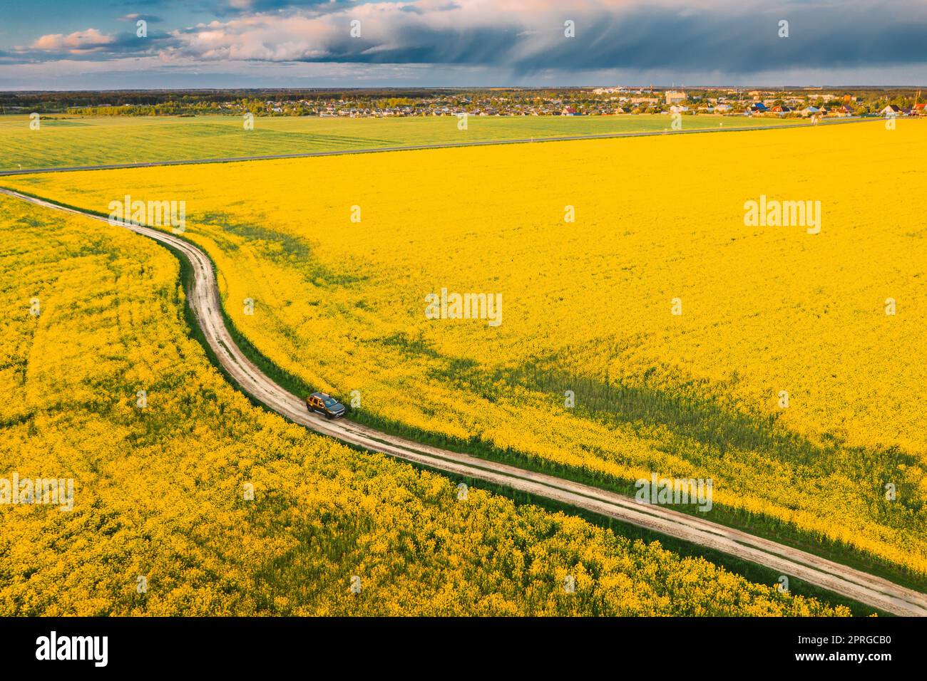 Champ de colza vue aérienne au printemps Banque de photographies et d ...
