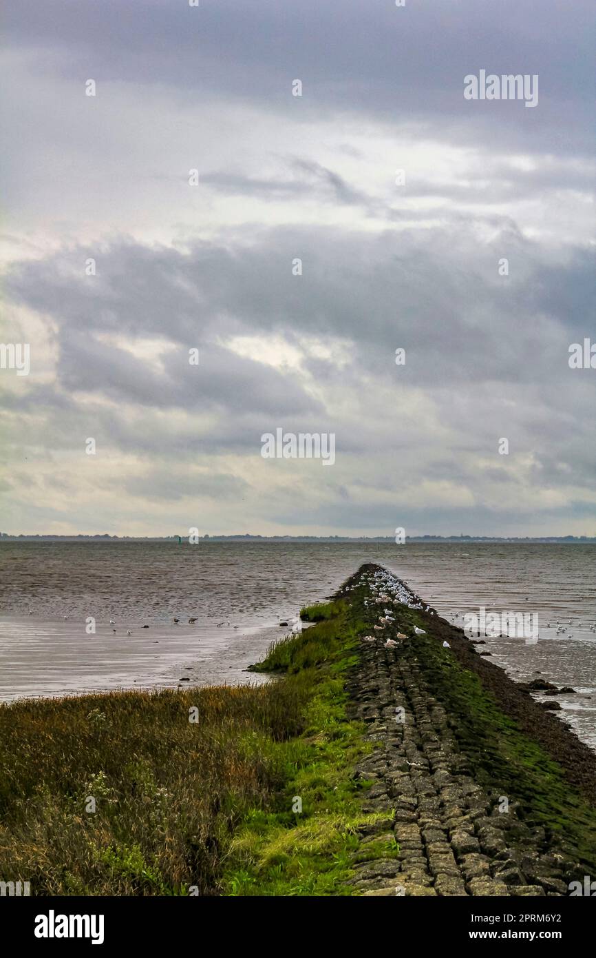 Magnifique paysage côtier et de digue avec des champs de pierres d'eau ...