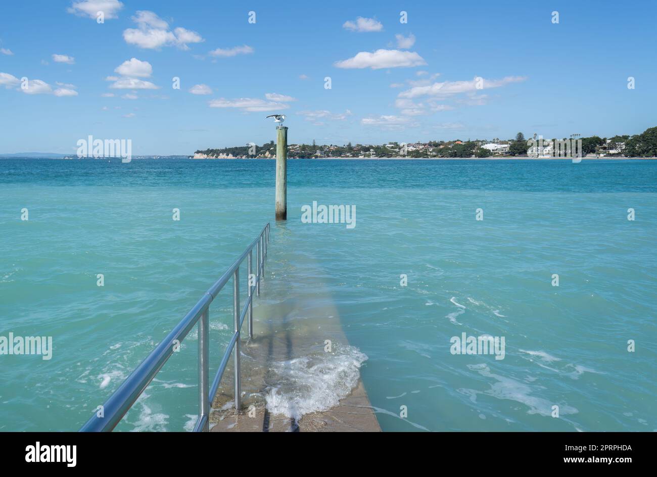 Mouette debout sur le poteau à la rampe de Takapuna Boat Ramp. Auckland ...