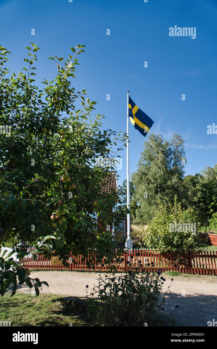 Drapeau sur un arbre Banque de photographies et d’images à haute ...