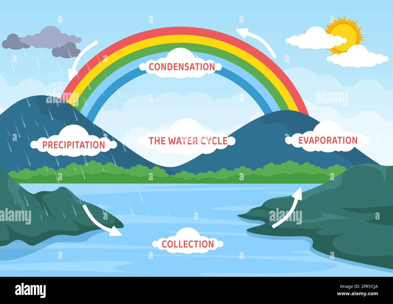 Cycle de l'eau d'évaporation, de condensation, de précipitation à la ...