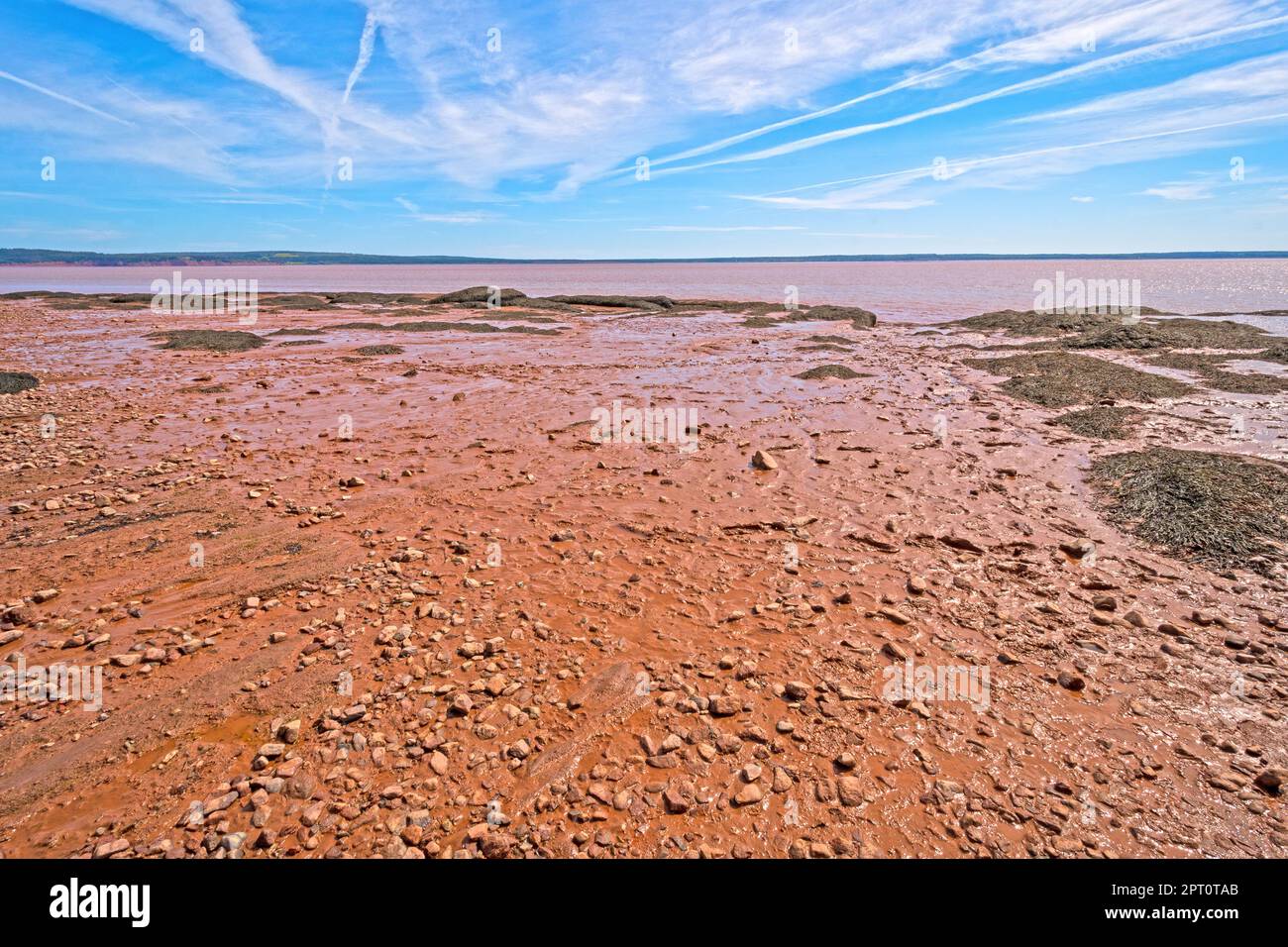 Sol marin exposé à faible Tide, dans le parc provincial The Rocks, au ...
