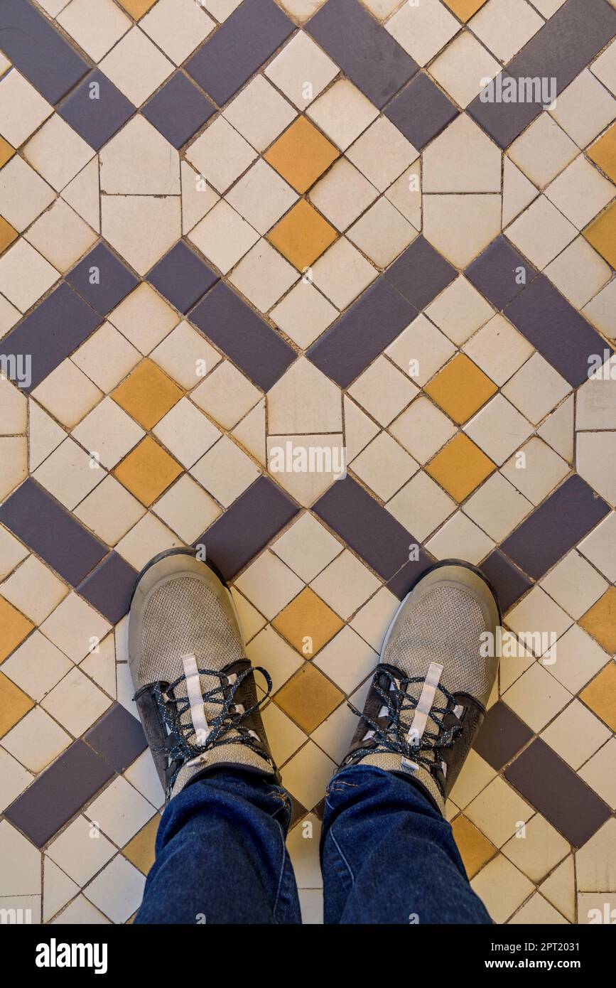 Sol en mosaïque dans l'arrière-cour de la Casa Batlló (Barcelone ...