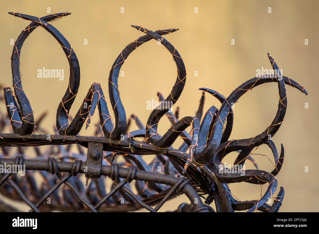 Détails en fer forgé sur la clôture de l'arrière-cour de la Casa Batlló ...