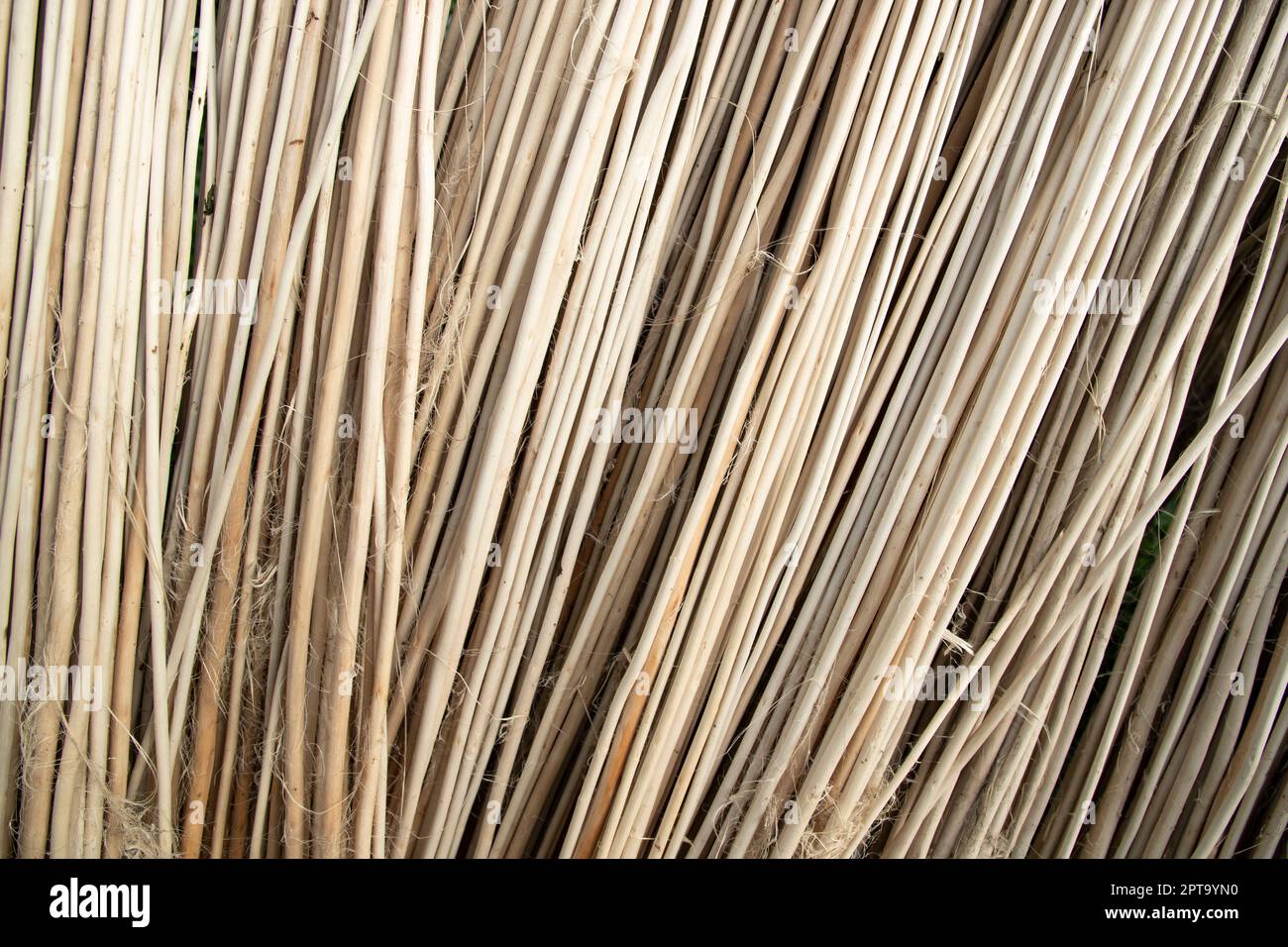 Lignes et lignes de bâtonnets de jute brun arrière-plan de texture d'un ...