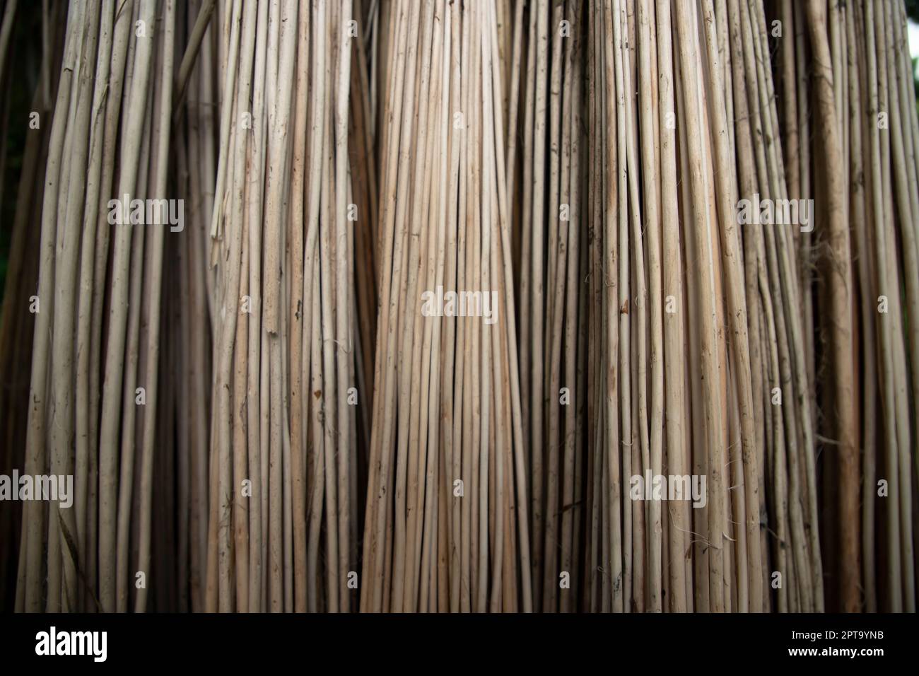 Lignes et lignes de bâtonnets de jute brun arrière-plan de texture d'un ...