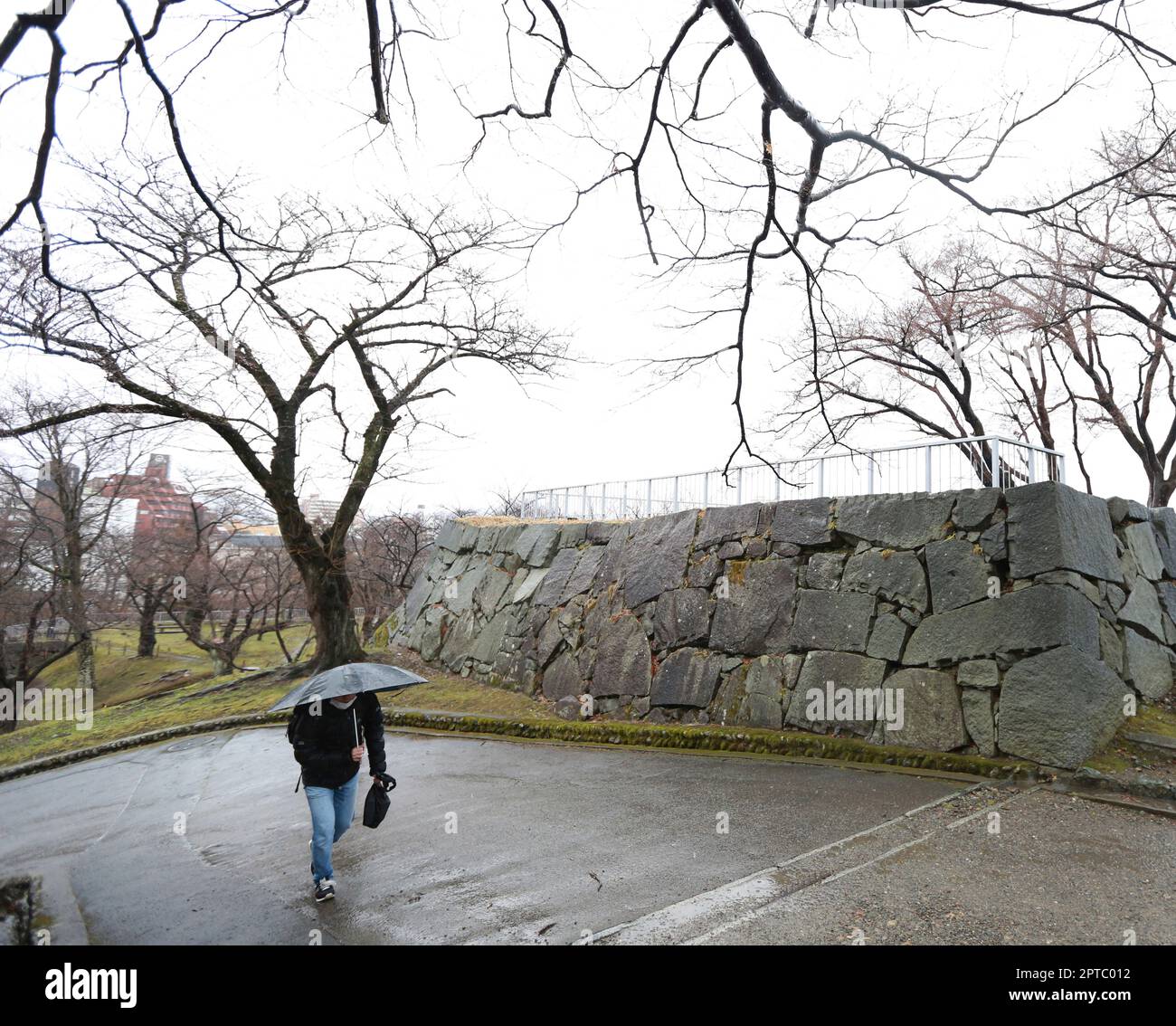 A photo shows Morioka Castle Site Park (Iwate Park) in Morioka City ...