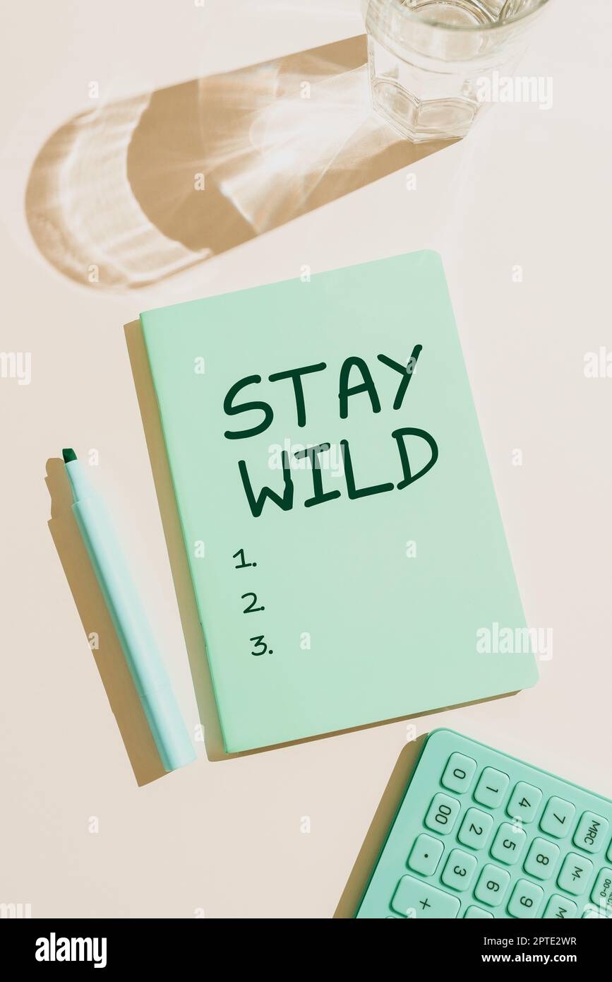 Affiche textuelle montrant Stay Wild, Aperçu des affaires campagne de ...